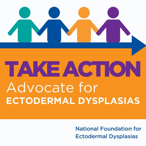 Autumn is for Advocacy - NFED