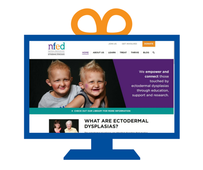 Collaborating With Friends Globally - NFED