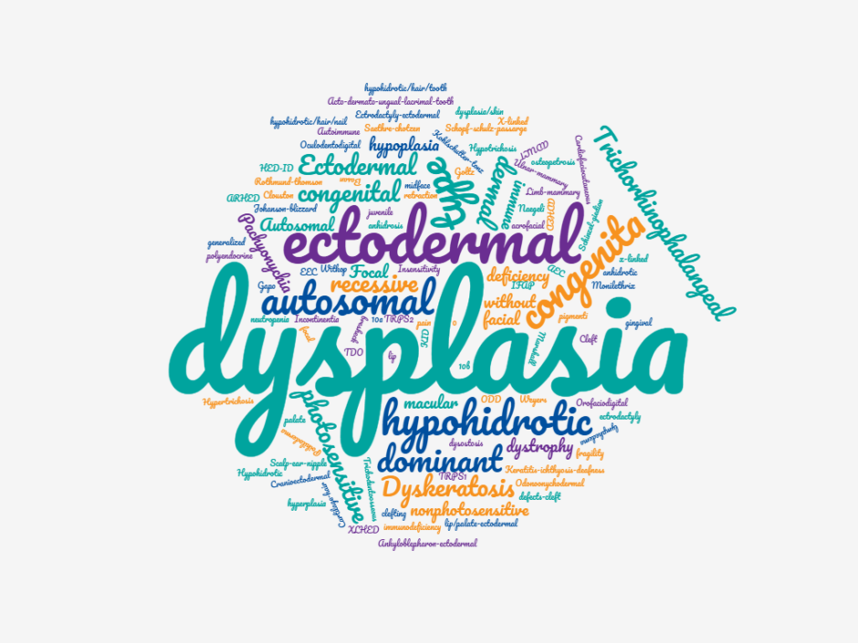 Is There A Genetic Test For Your Type Of Ectodermal Dysplasia Nfed