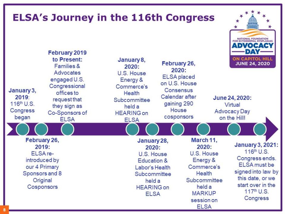 Record Setting Day for ELSA - NFED