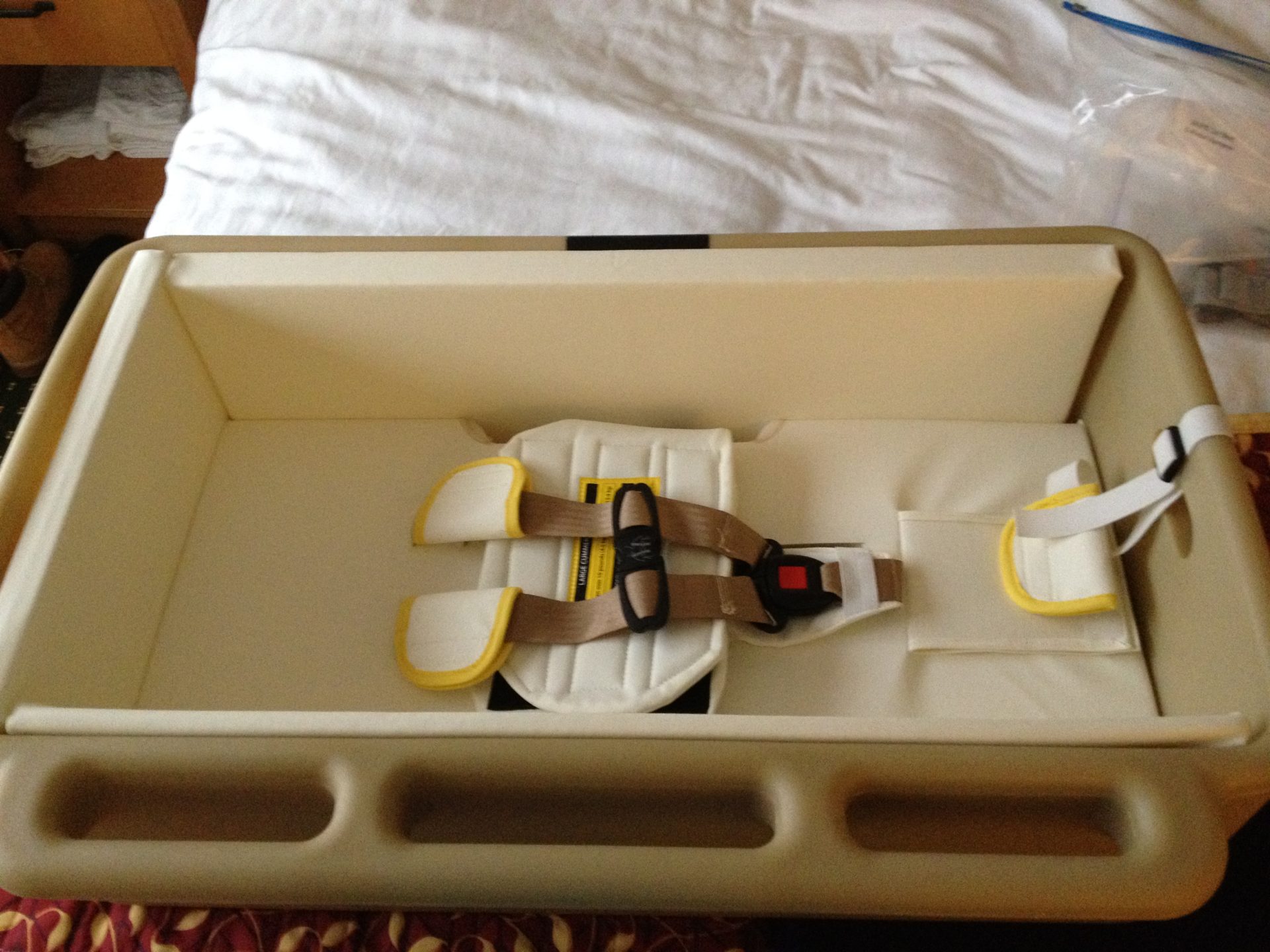 What You Need To Know To Help Your Child's Vision If They Have IP - NFED