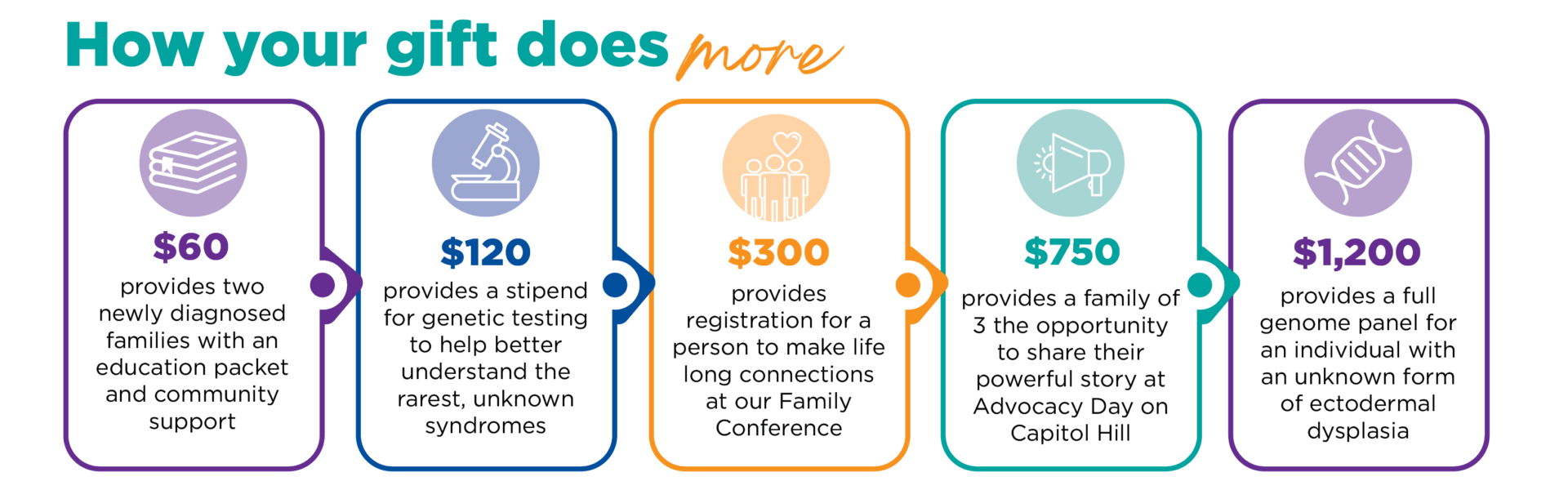 NFED 2024 End-of-Year Appeal - NFED